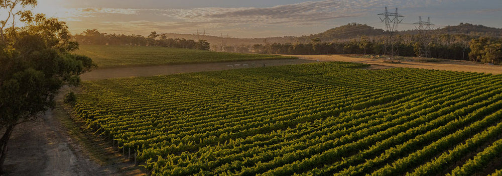 Our Story - Helens Hill - Helen's Hill Winery